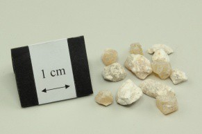 Chinese Herbal Medicine Database